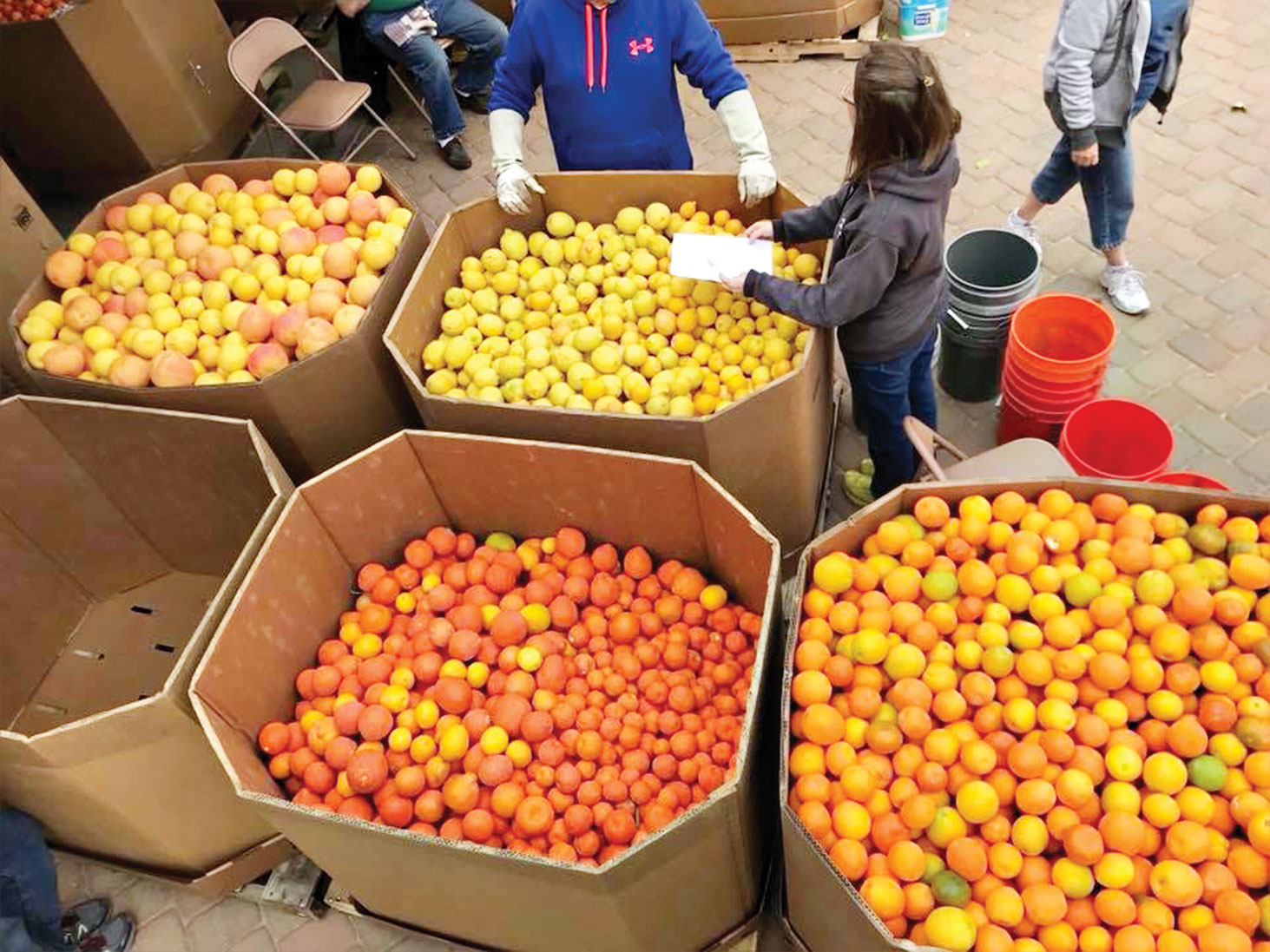 Fruit picking begins lucky 13th year – Sun Lakes Splash