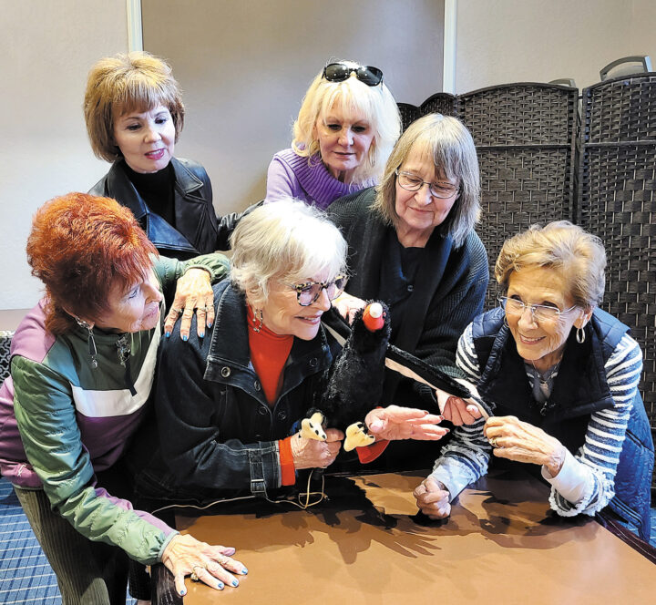 Mystery Dinner Opens Soon – Sun Lakes Splash